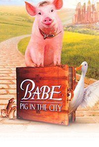 Jay Friedkin - Movies, Biography, News, Age & Photos | BookMyShow