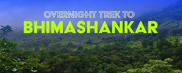 Sumerian - Overnight Trek To Bhimashankar | Trekking Tickets Mumbai ...