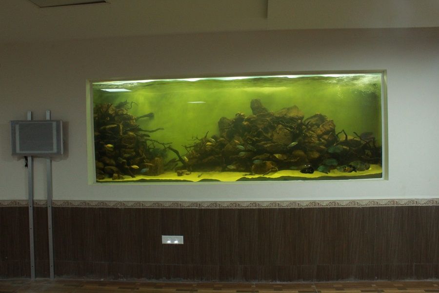 Biotope Aquarium Fish Display at Chennai | tourist-attractions Tickets ...